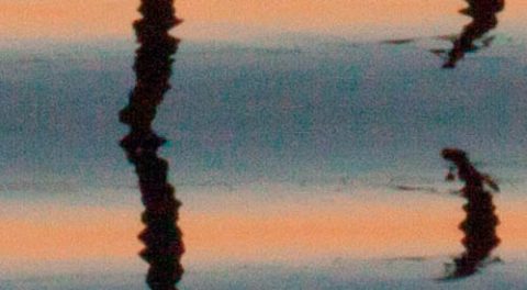 El ruido en fotografía digital - foto igual